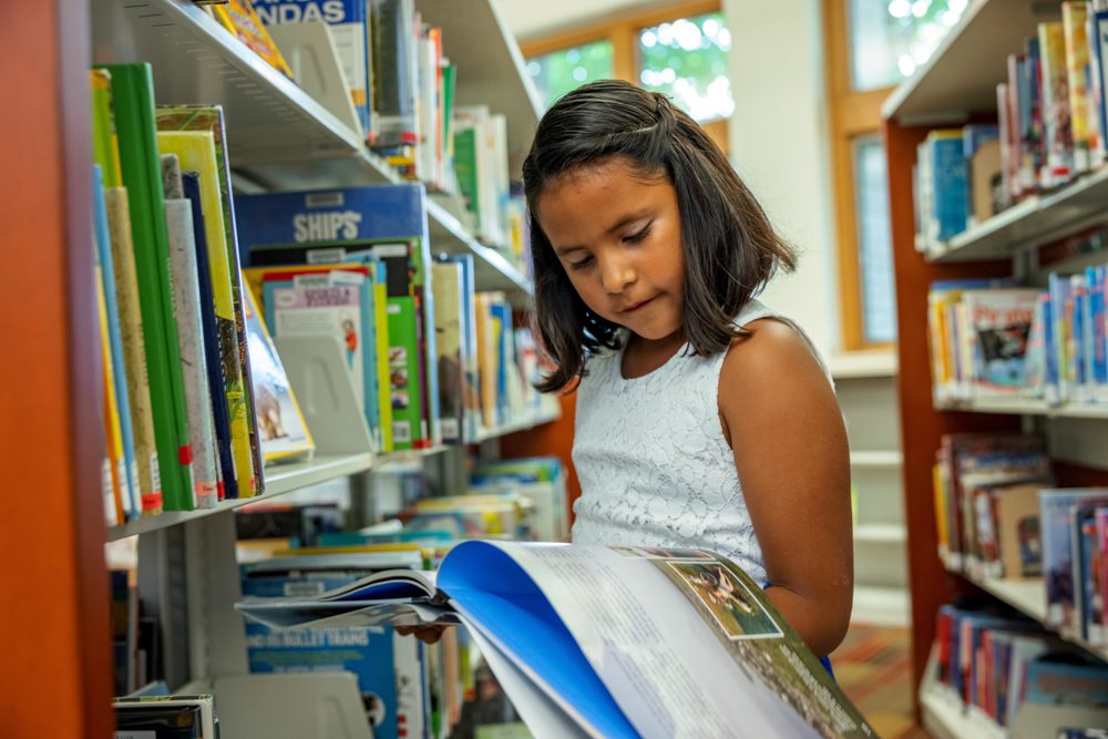 Internships at the Library – St. Joe County Public Library